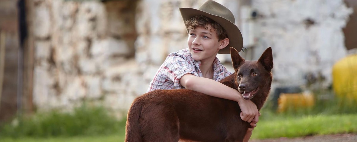 Watch Red Dog For Free | STARZ ON