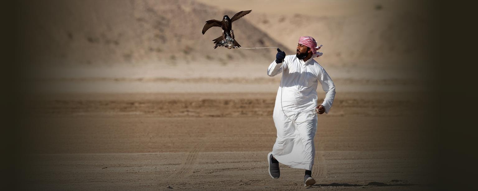 Watch Fazza Falconary 2025-2026 Live Online | ADMN on STARZPLAY