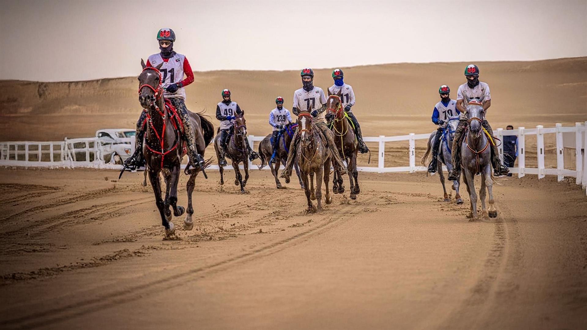 Watch UAE Endurance Races 2025-2026 - Abu Dhabi - The President of UAE ...