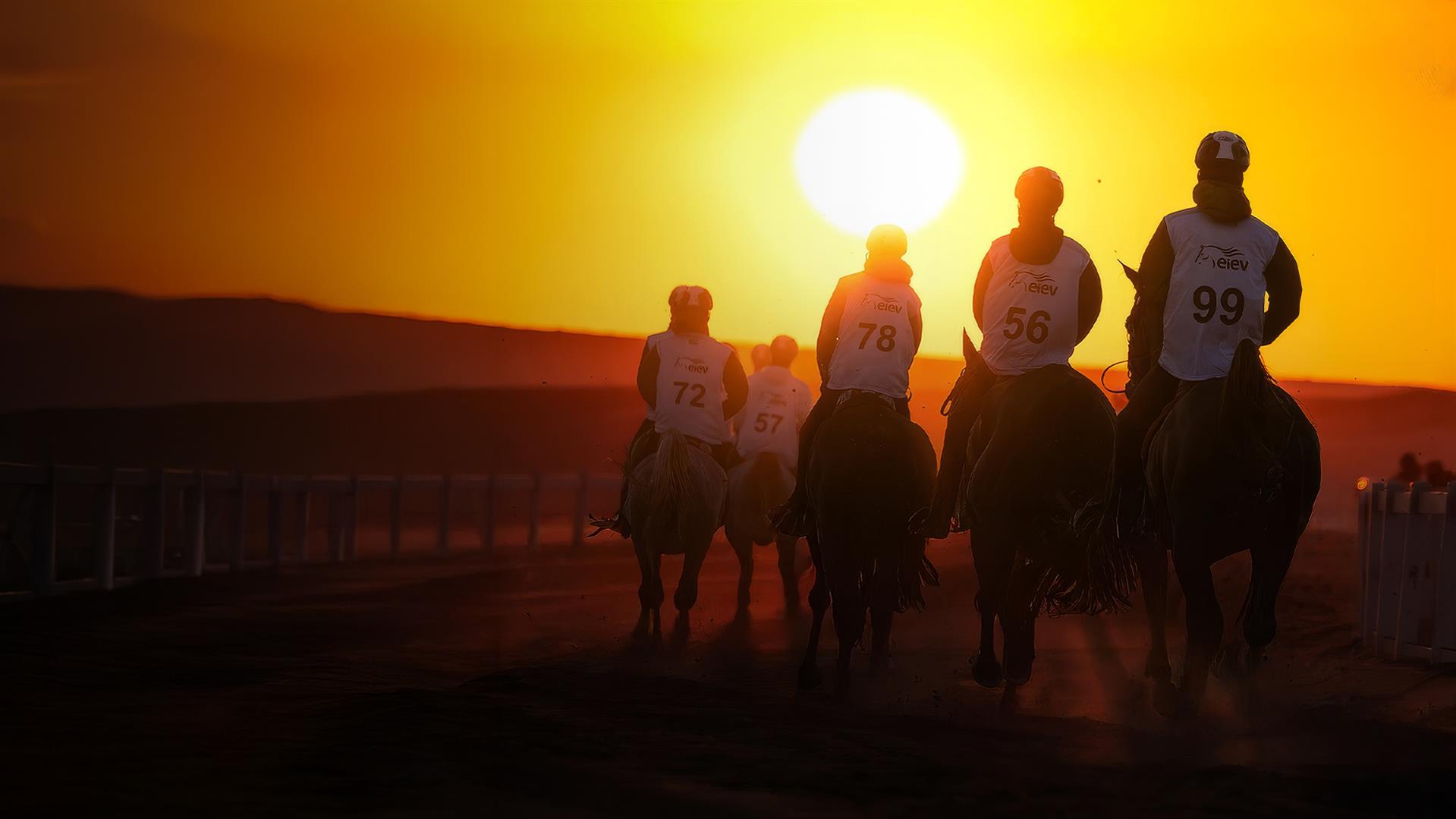 Watch UAE Endurance Races 2025-2026 - Catch Up Live Online | ADMN on ...